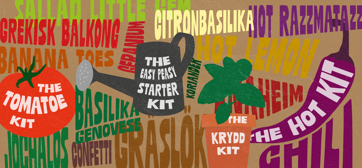 Frö-Kit Selection – Punk Garden